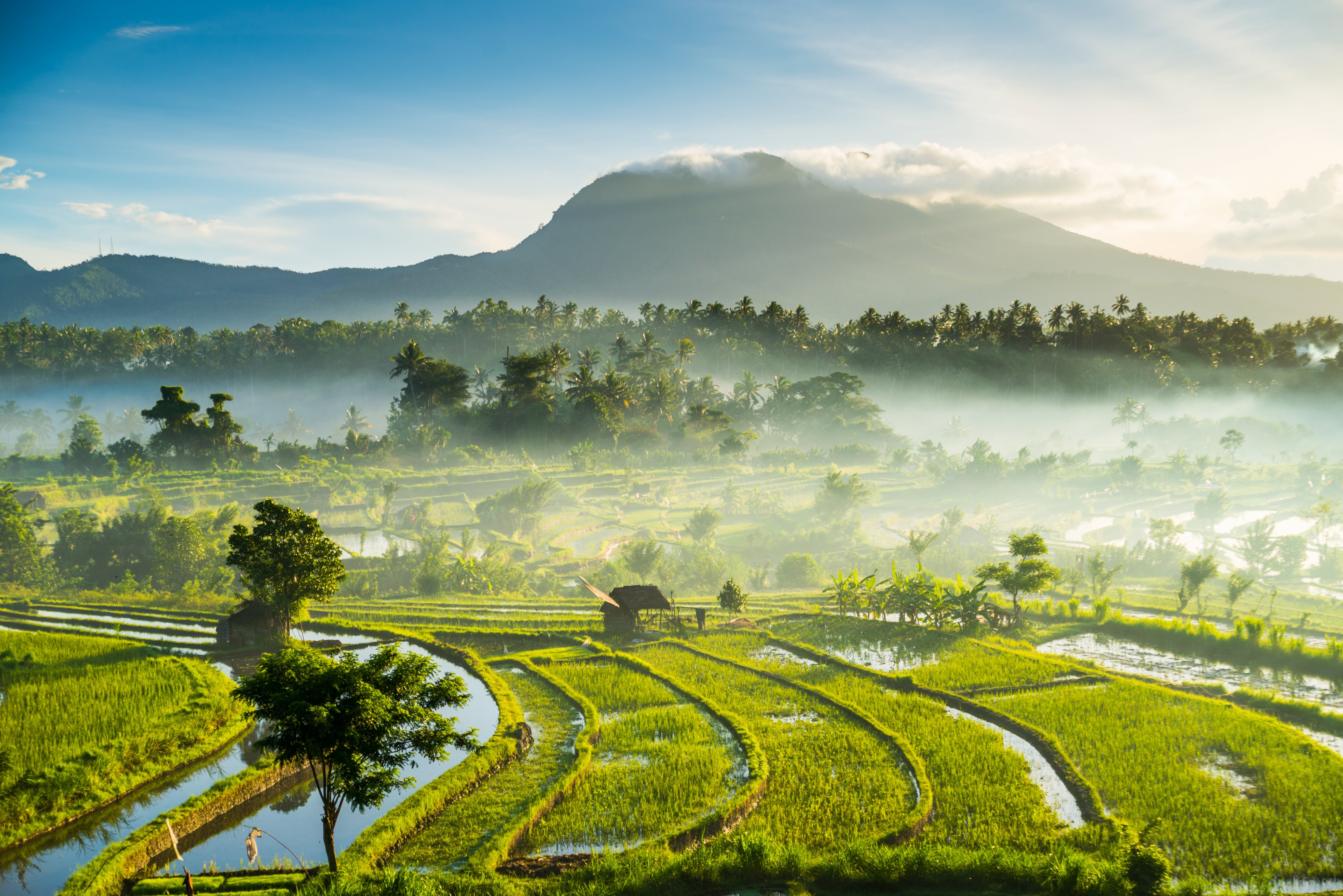 eSIM Destinations – 150+ Countries Covered | Roamsim